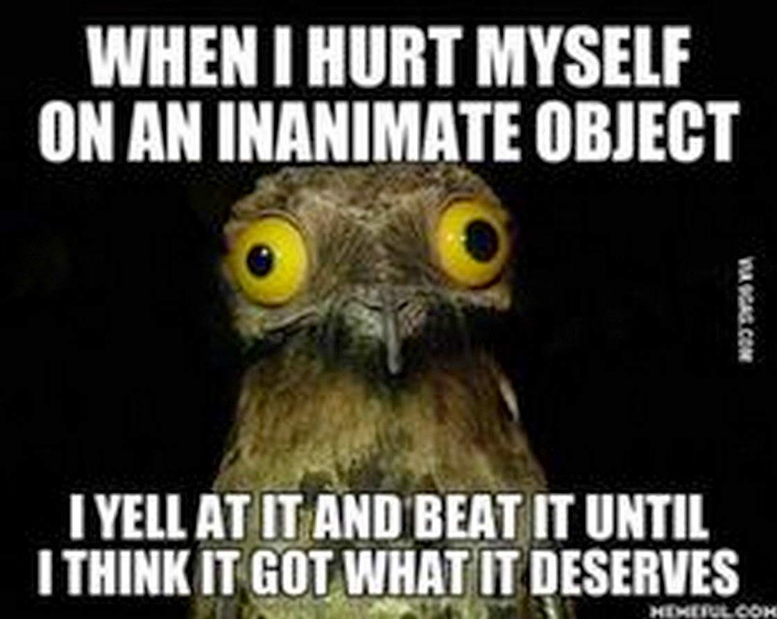 Chuck's Fun Page 2: Meme-like humor (18 photos)