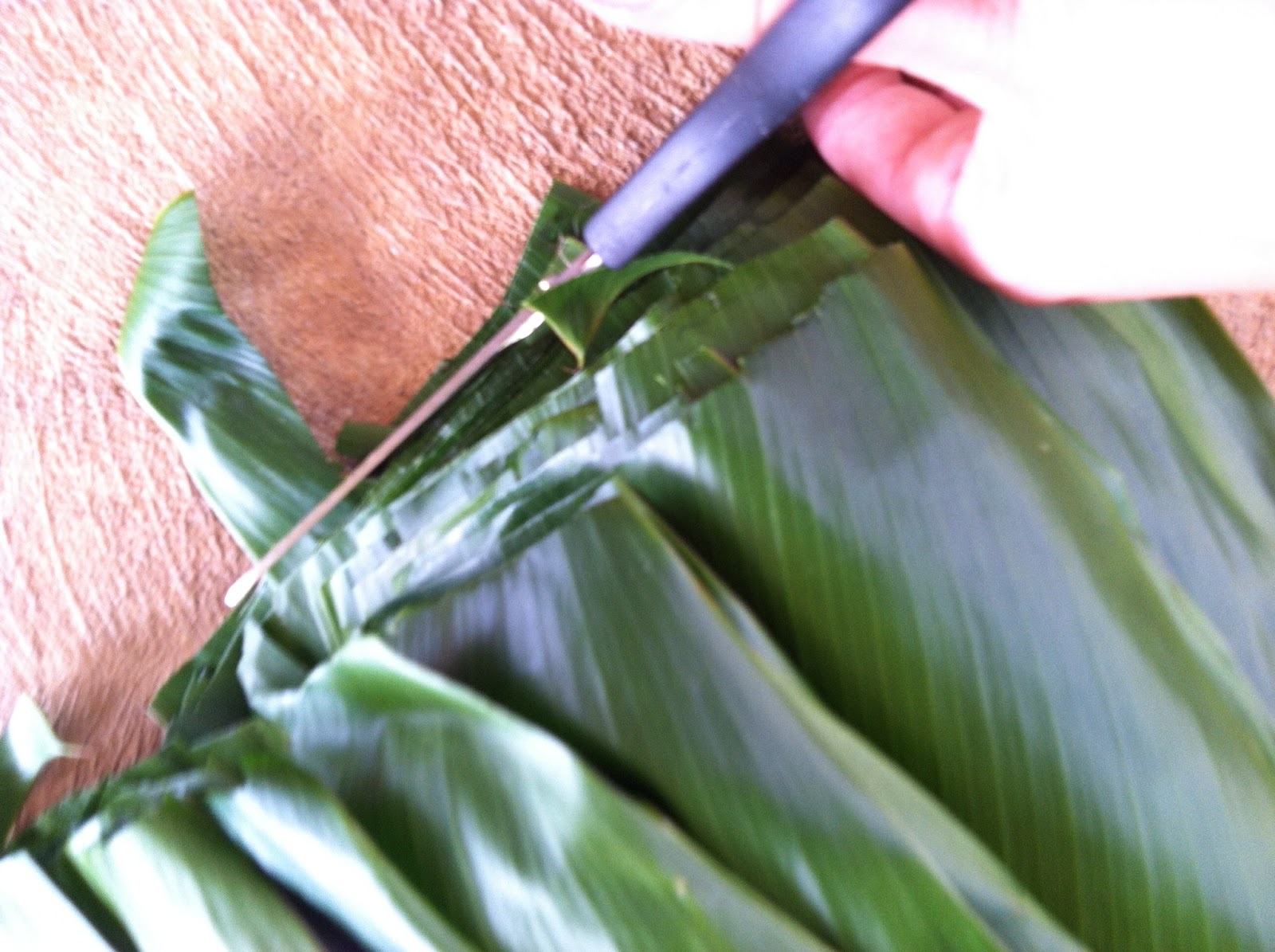 Woman of Polynesia: How To Make a Ti-Leaf Skirt