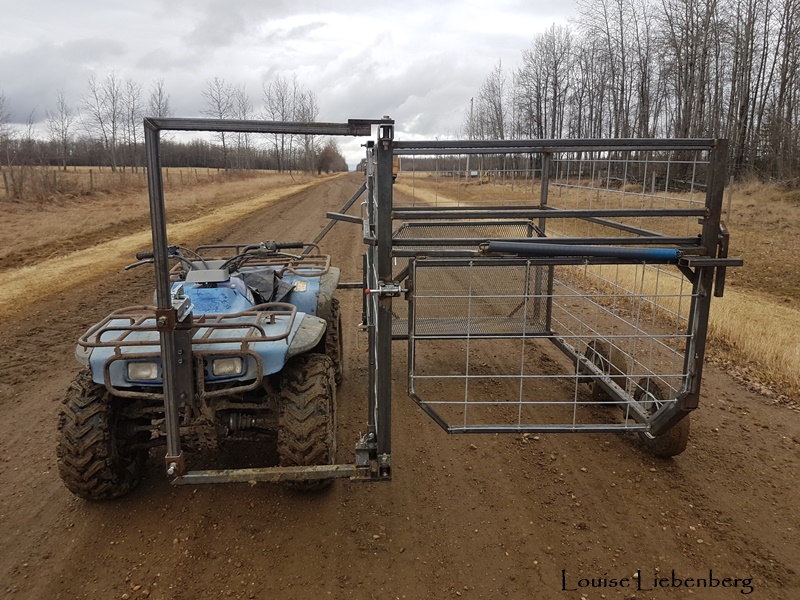 Homemade Cow Catcher