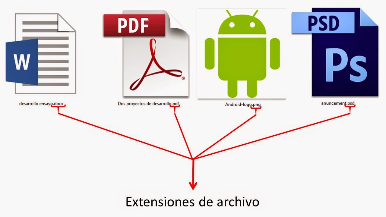 Cómo visualizar la extensión de un archivo - MAREC