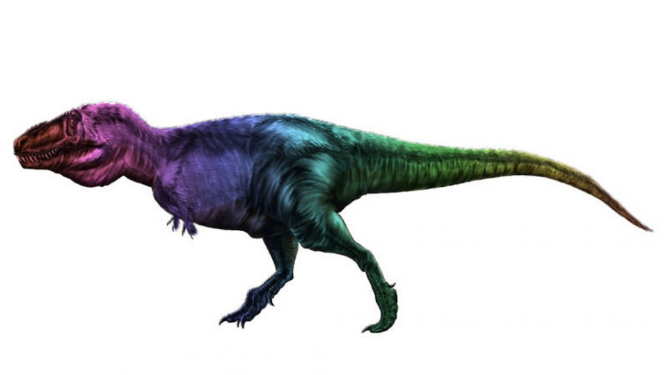 Paleontología y Evolución en la UCM: ¿Conocemos en realidad el color de ...