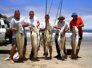 Namibia Sport Fishing : Cob Fishing