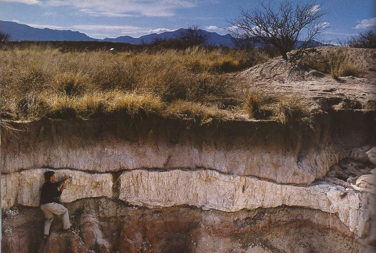 Ciencias de la Tierra (geología - geografía): ROCAS SEDIMENTARIAS - El ...