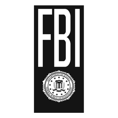 Dysfunctional Intelligence - FBI - Virtual Mirage