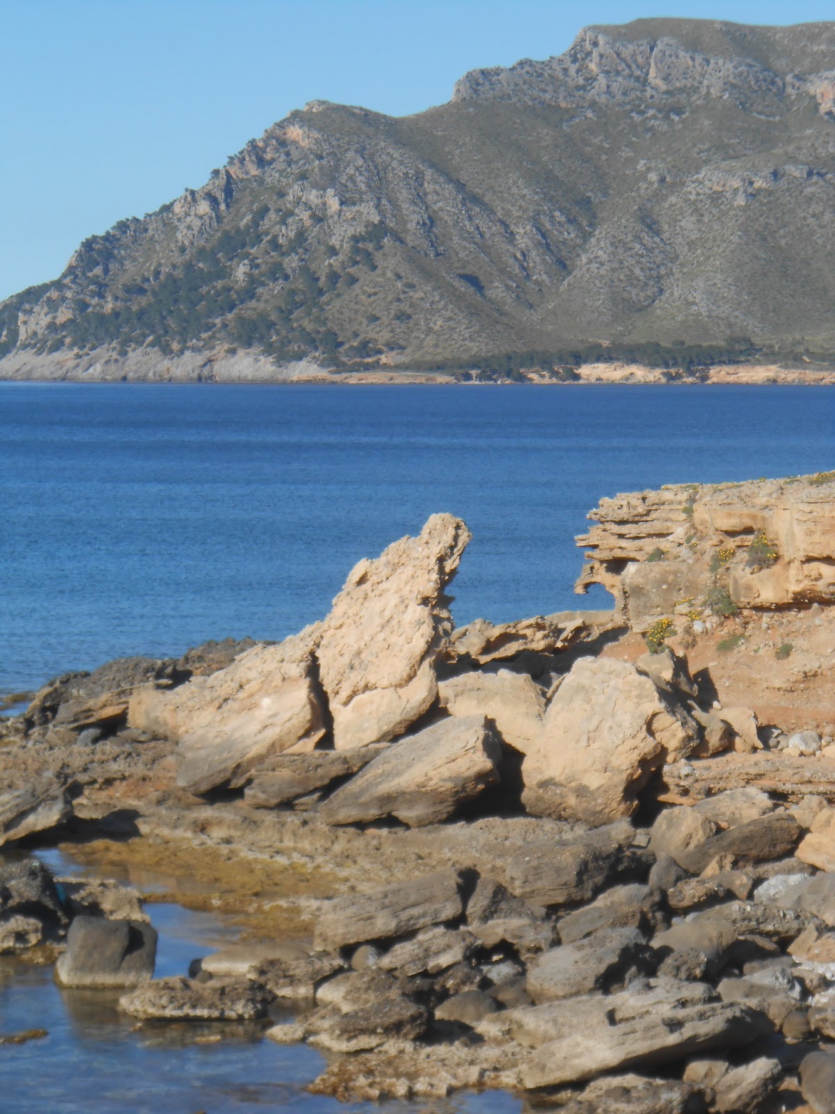 A tuttiplan: VAMOS... a bañarnos en el Caló d'en Sureda