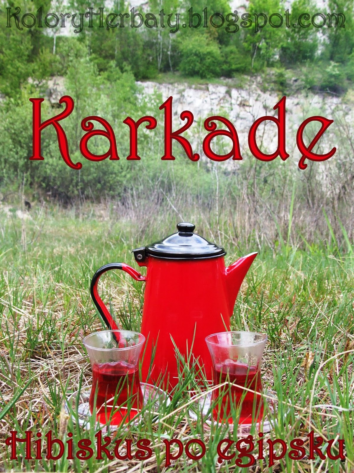 Kolory Herbaty: Karkade - hibiskus po egipsku