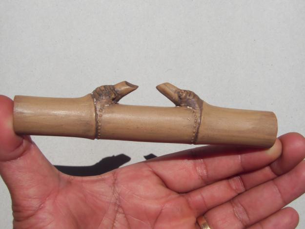 Membongkar Mitos Jimat PRING PETHUK - NAQS DNA