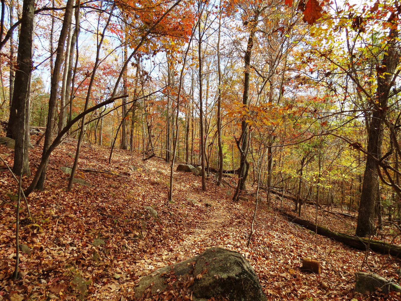 Another Take on Life, the World, and Adventure: 40 Acre Rock Heritage ...