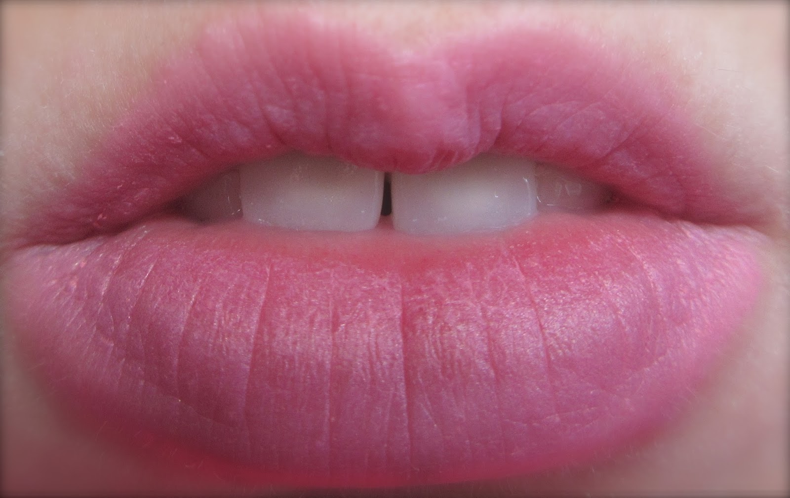 Lulu´s Diary: Labiales Mate