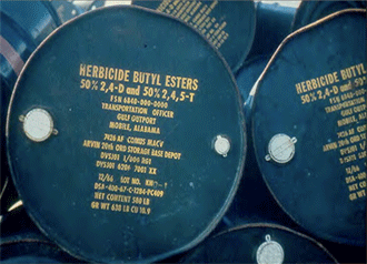 MoMo's Blogs: Agent Orange