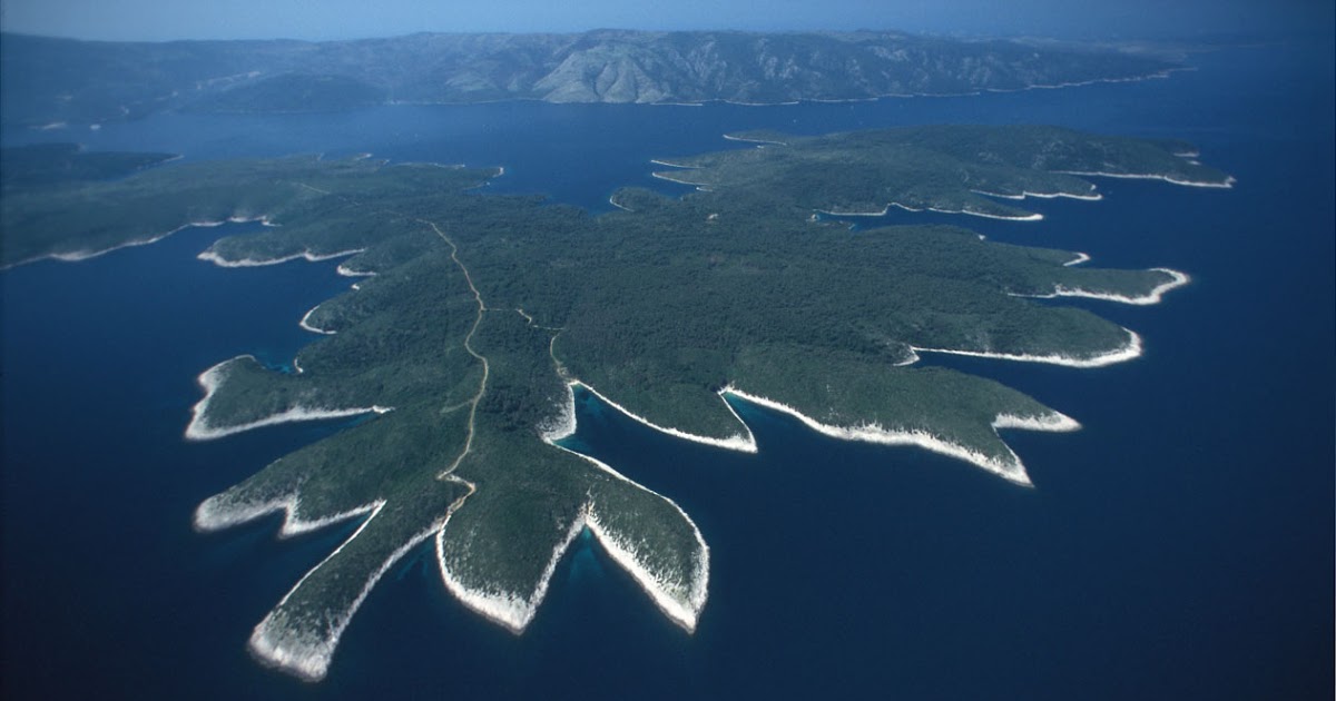 Studia Croatica: Curso de idioma croata a distancia