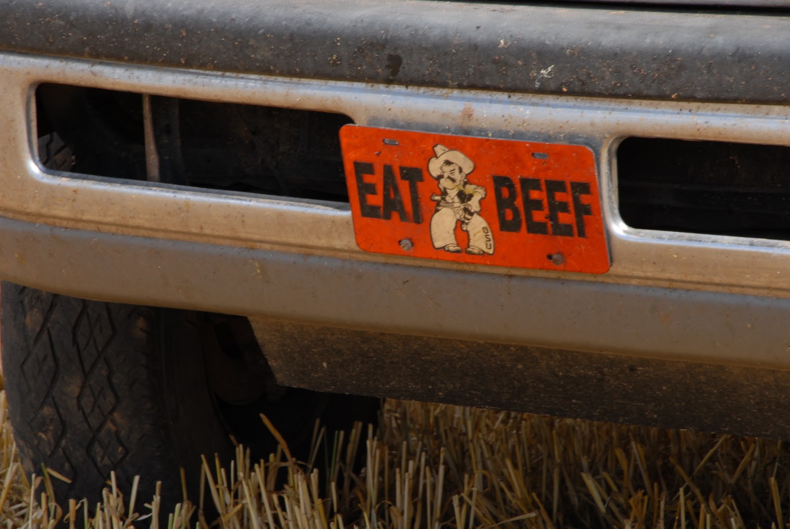 Pistol Pete Eat Beef License Plate - gameimperiacpa