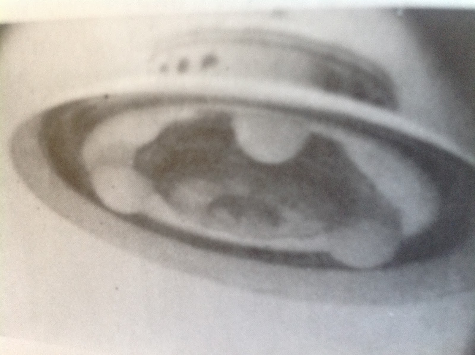 Eugene Ray Architect