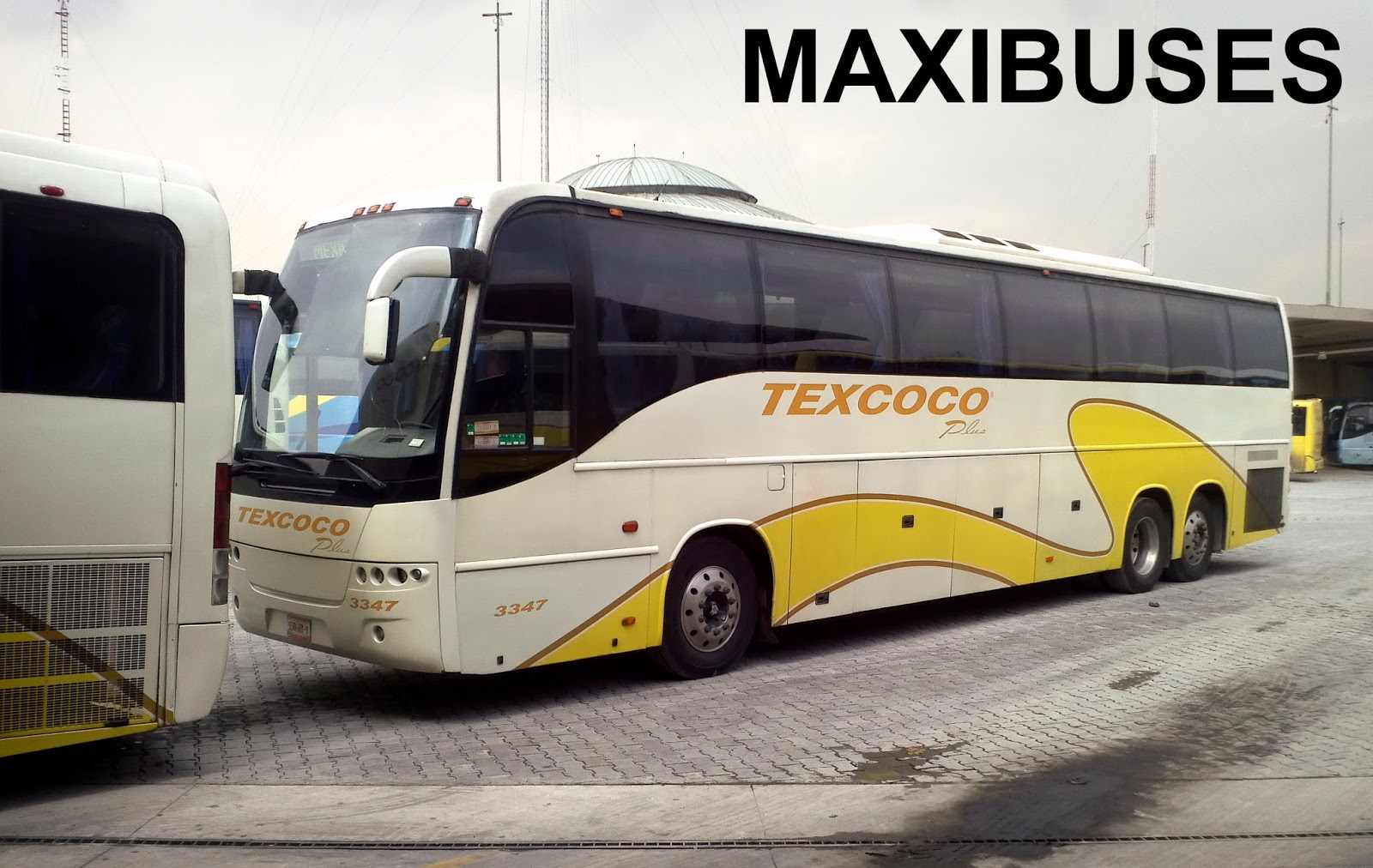 MAXIBUSES: AUTOTRANSPORTES MÉXICO TEXCOCO; SERVICIO PLUS