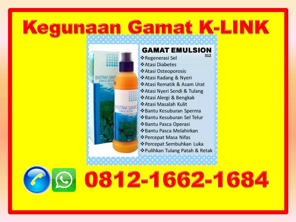 BERKUALITAS, Gamat K-Link Untuk Gagal Ginjal, 0812-1662-1684(T-sel)