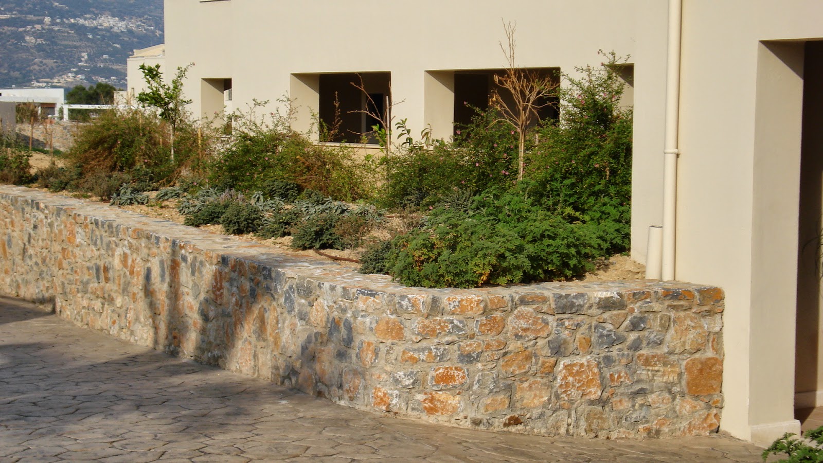 ΚΡΗΤΙΚΑ ΦΥΣΙΚΑ ΠΕΤΡΩΜΑΤΑ: CANDIA MARIS