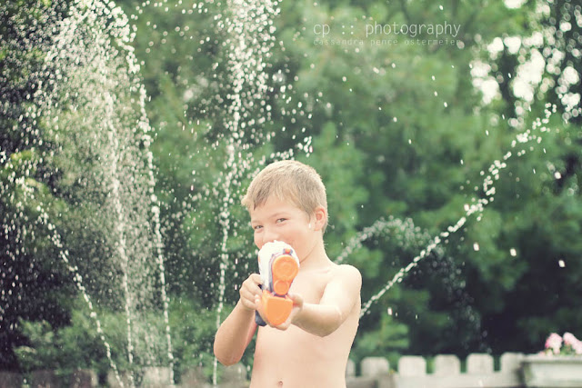 sassafras: backyard enjoyment :: photography