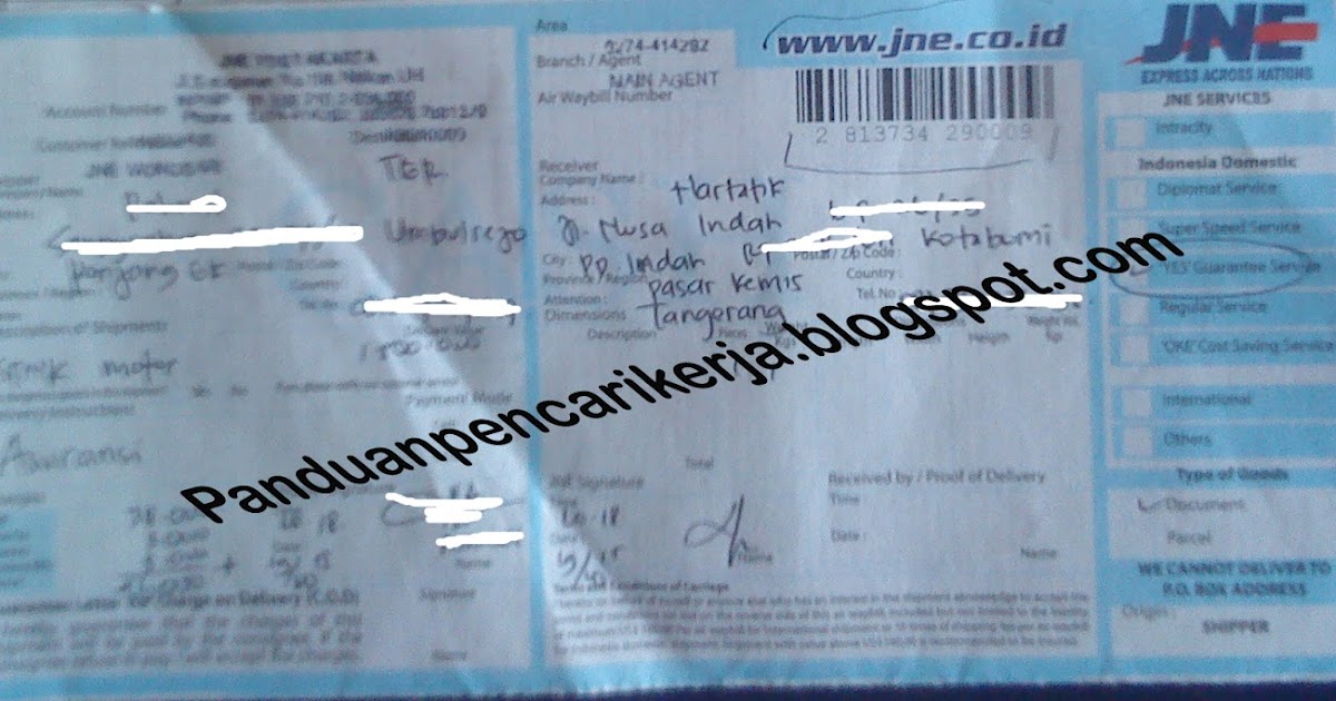 Contoh Surat Lamaran Ke Jne - Delinewstv