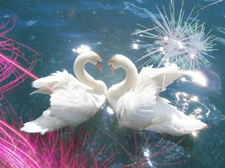 Love, at love me two times Vintage