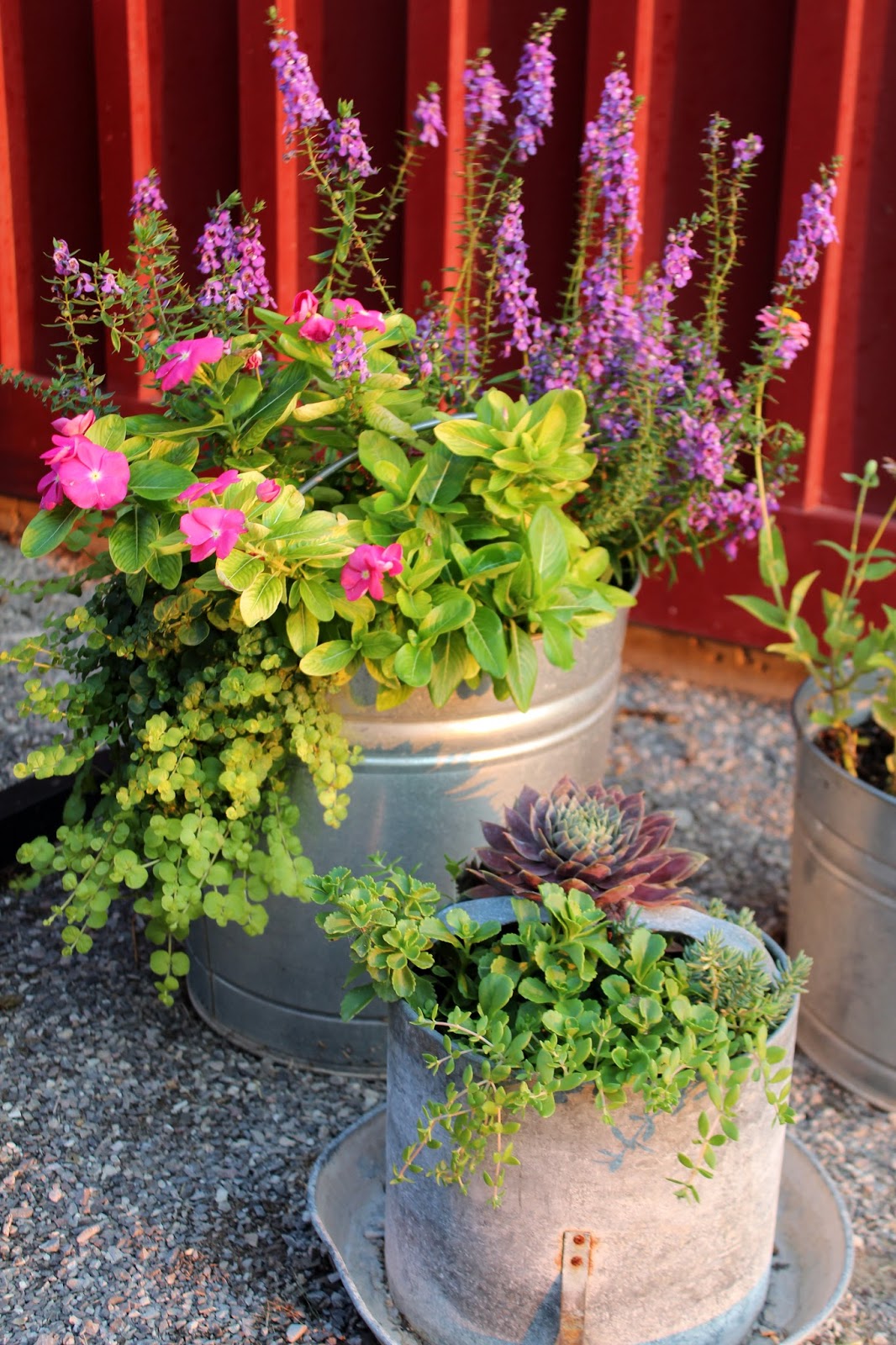 Galvanized Flower Buckets