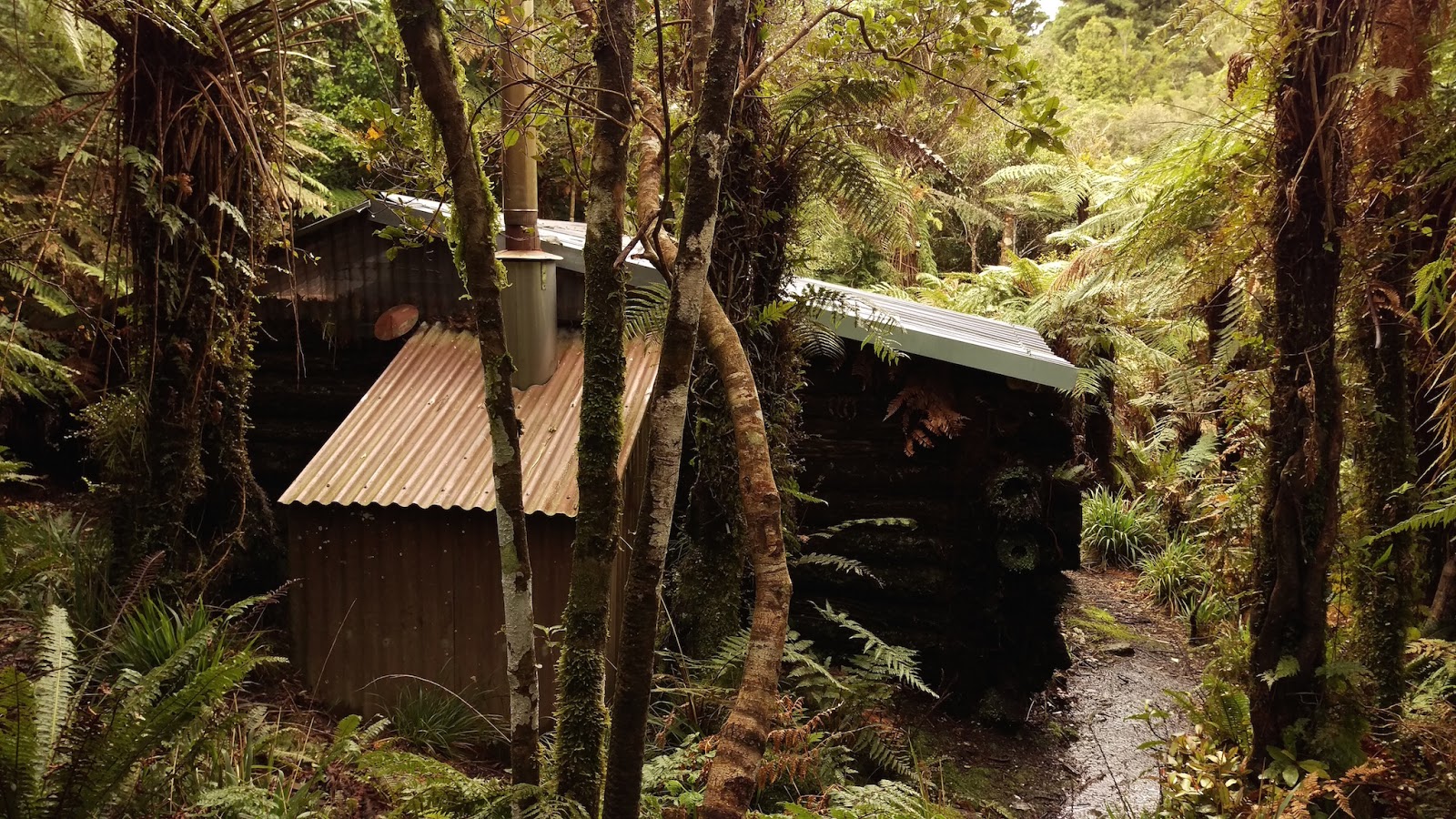 Tramping: Punga Hut or Miro Valley Hut