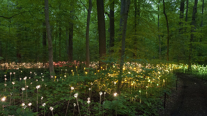 OFFICE HOGAR: COCINAS Y BAÑOS EN ZARAGOZA. ESPACIOS DIFERENTES: BOSQUE ...
