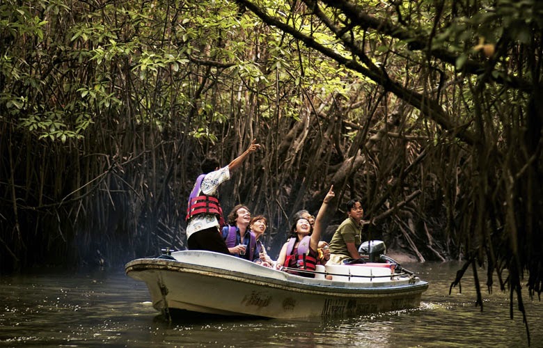 Cherating Firefly Activities: Our excursions