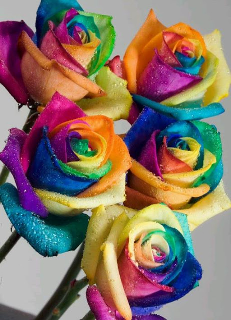 Beautiful and Colorful Flowers... ~ beautyway2life