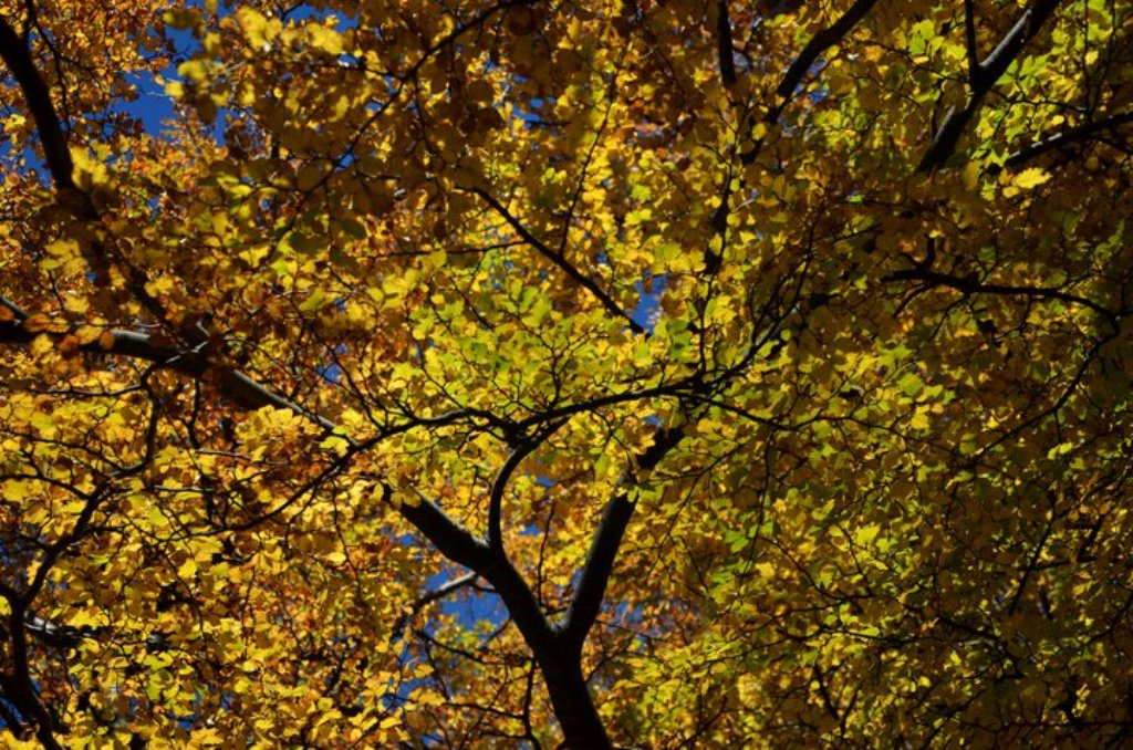 El Chaltén por Andy Bier - Fotografía : Revista El Bosco