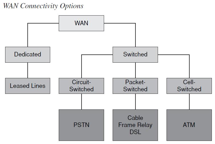 XYZ NETWORK: Physical Side of WANs
