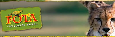 The Commodore Hotel: Family Fun at Fota Wildlife Park - a wild day out!!!