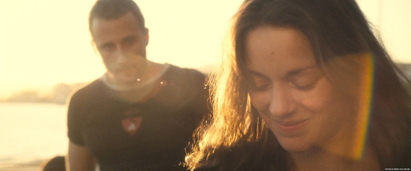 El Rincón de Domive: Crítica de 'Rust and Bone' (Jacques Audiard, 2012)