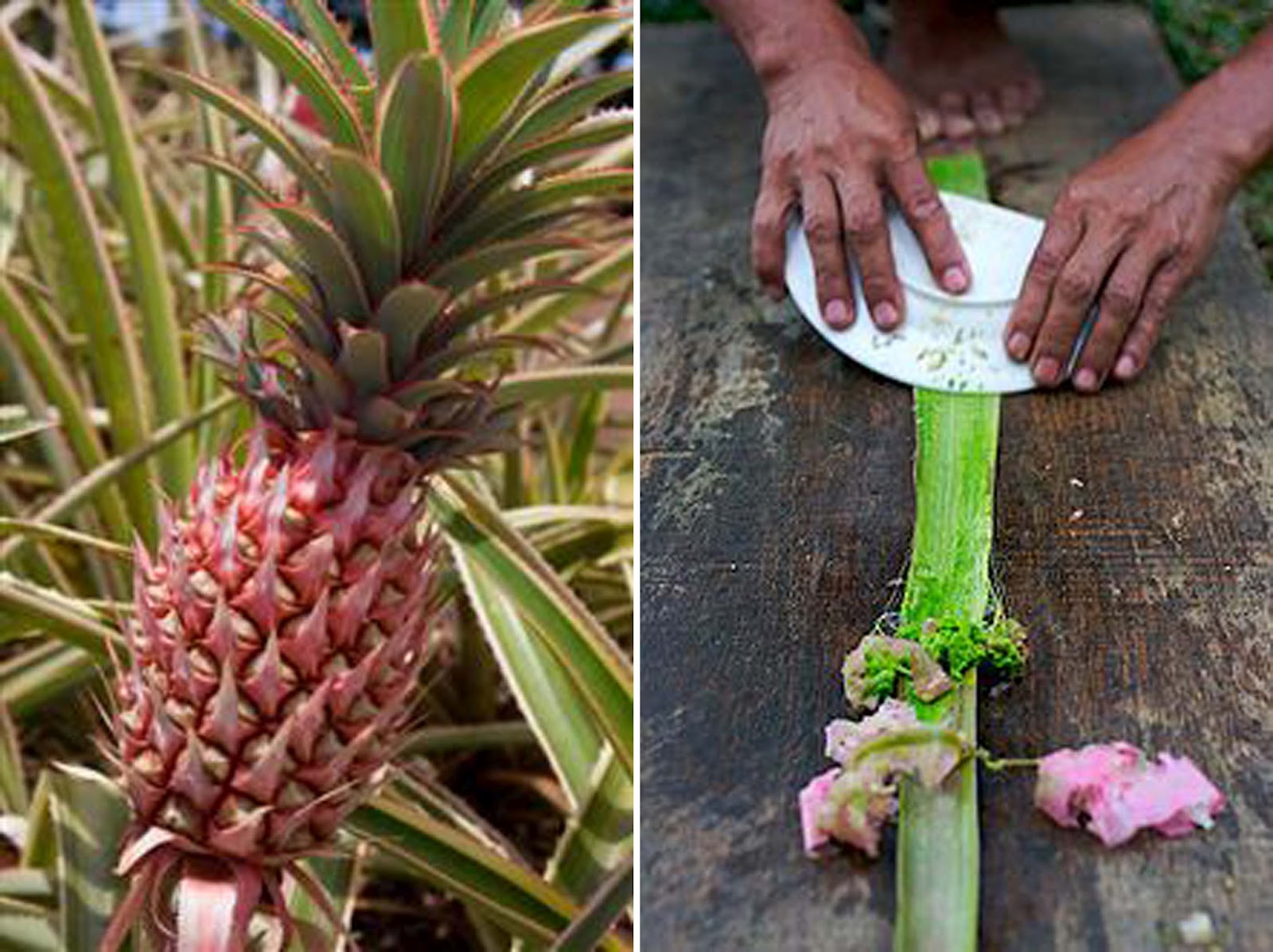 Jubanitex- Customized Home Textile Products: Materials