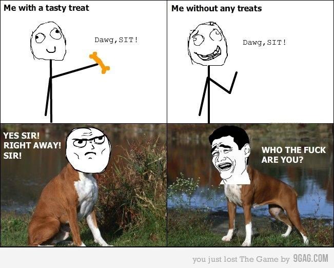 Isa's Fotos: FUU / Rage Comics