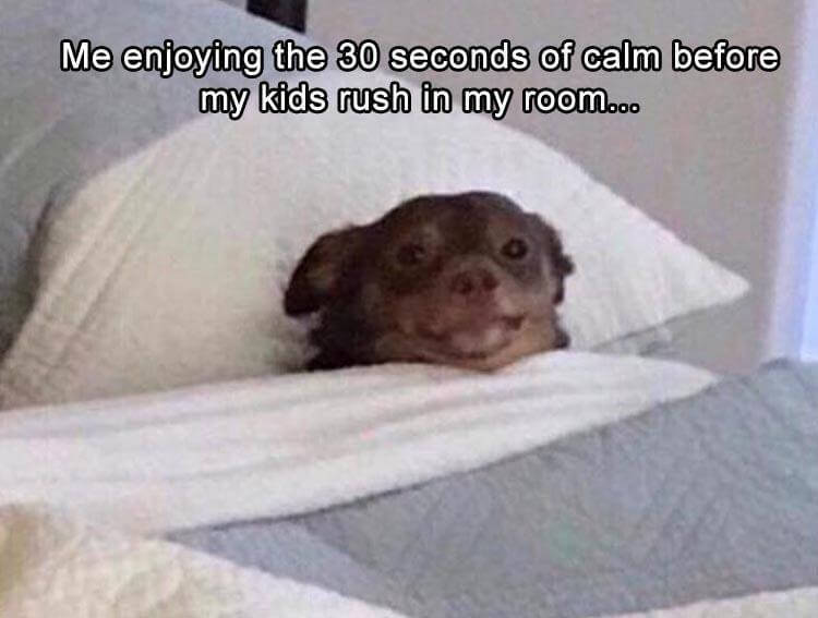 Super Funny Memes – 24 Pics