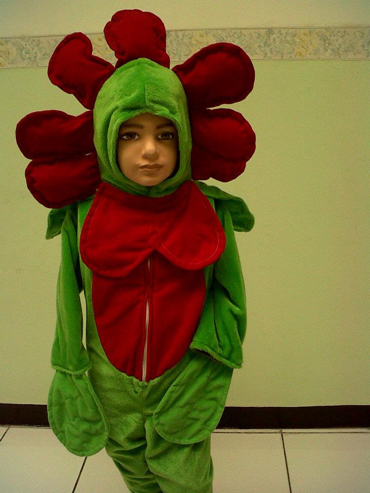 Kostum Bunga Merah - Kostum Anak | Kostum Anak