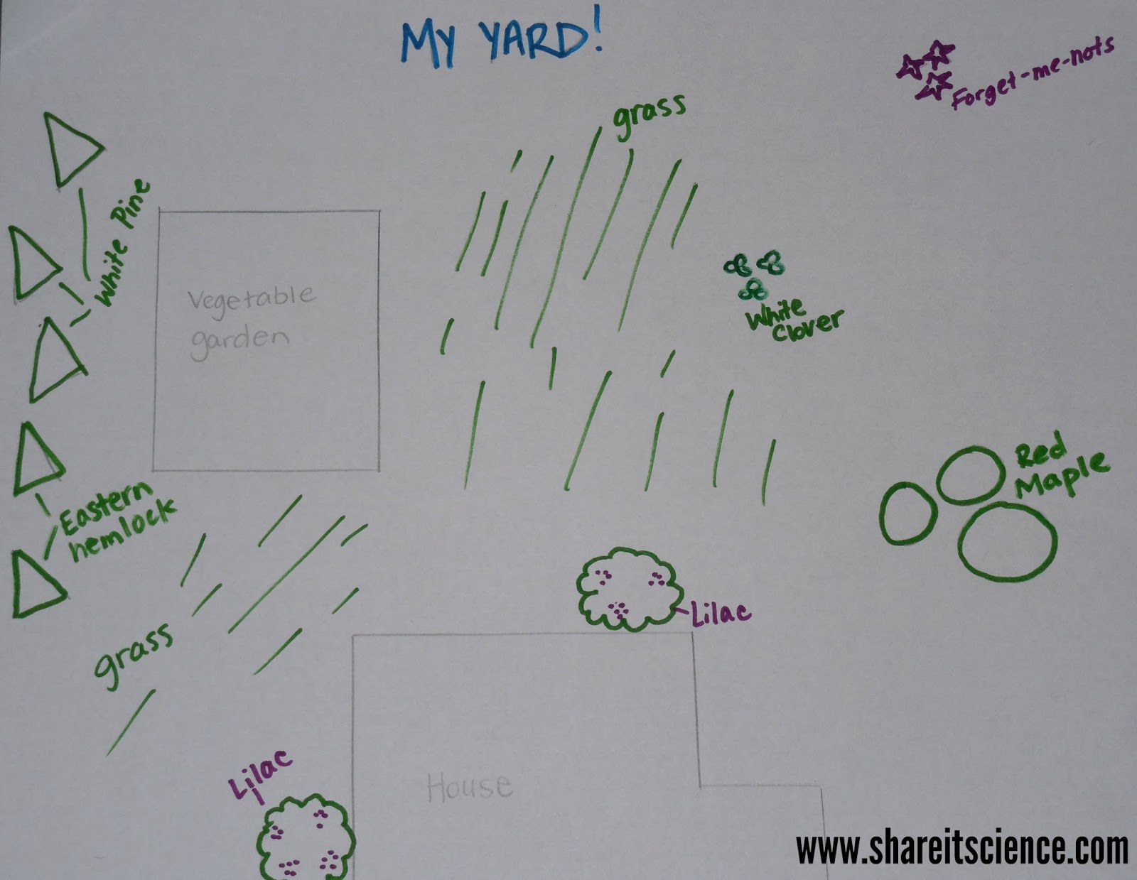 Share it! Science : Plant Identification Apps: Yard Mapping for Kids