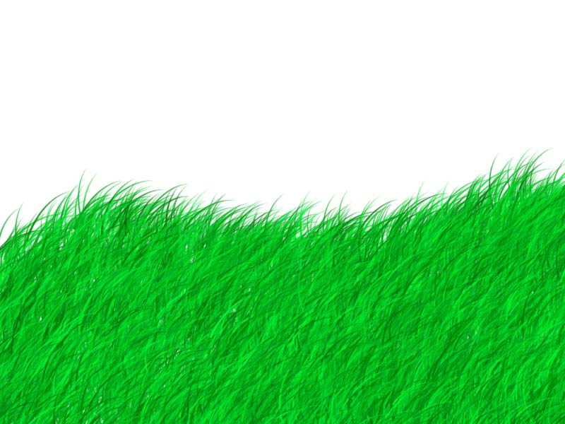 Learn Psd | Graphic Design Classes and Education: Draw natural grass ...
