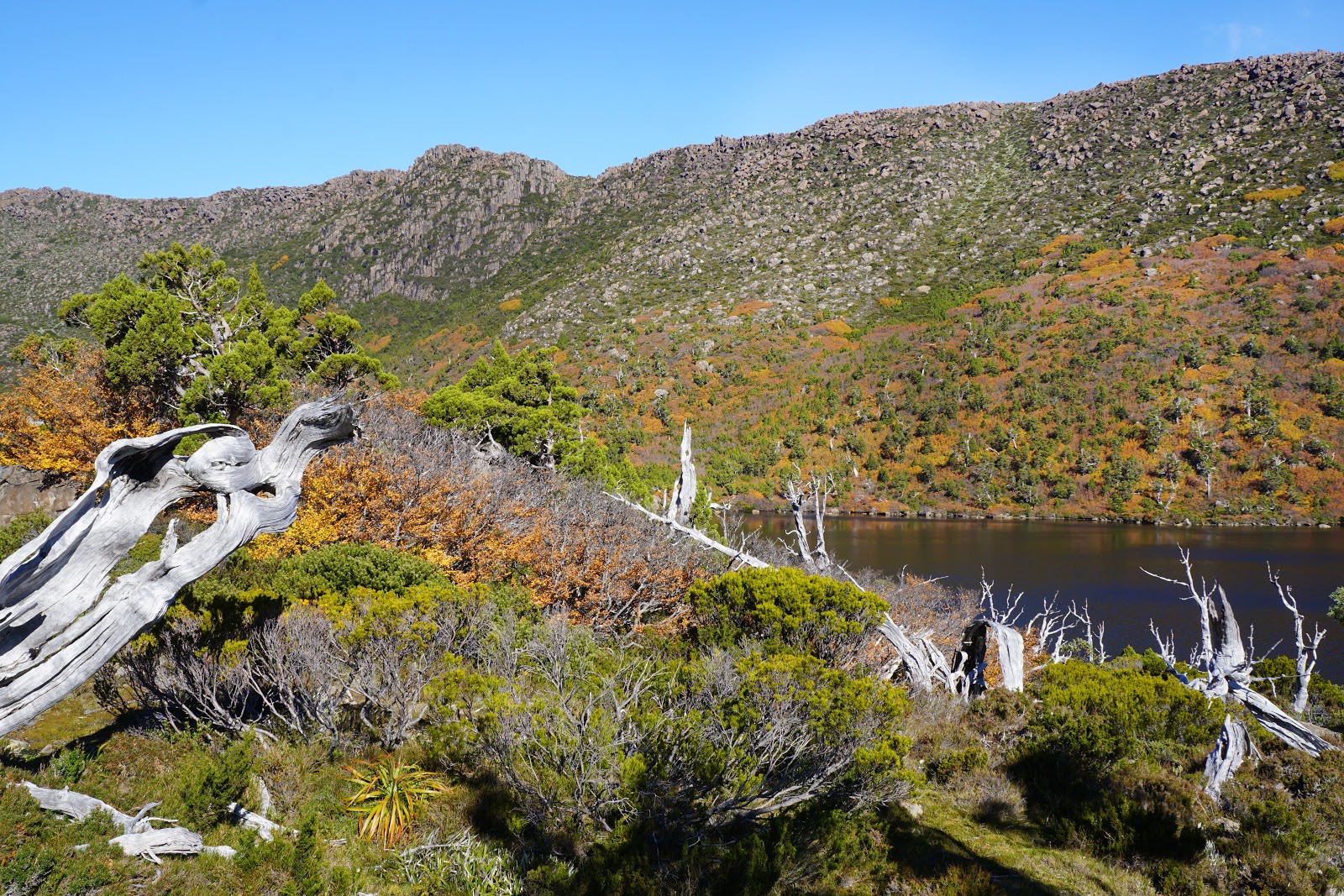 Tarn Shelf Circuit (Mount Field National Park) ~ The Long Way's Better