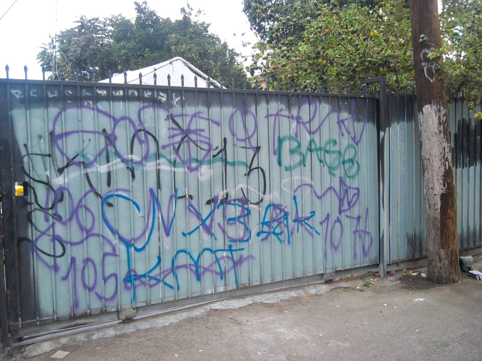 sureno 13 gangs graffiti: Watts varrio grape street 13