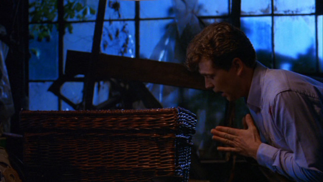 MCBASTARD'S MAUSOLEUM: BASKET CASE 3: THE PROGENY (1991) (Blu-ray Review)