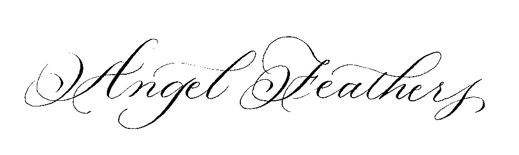 Trish Taylor Calligraphy: Overflow project samples "Angel Feathers"....