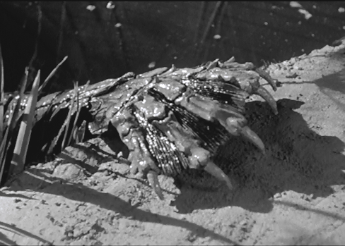 Classic Film and TV Café: Creature from the Black Lagoon: The Gill-Man ...