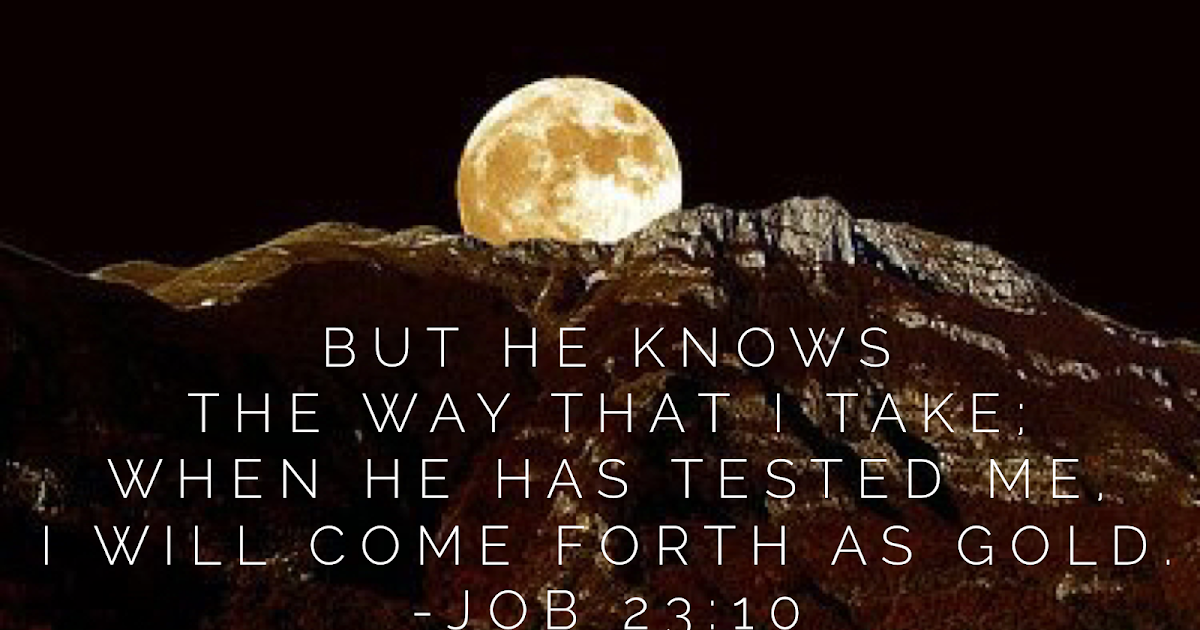 Growing Up In The Word : Why Was I Born?