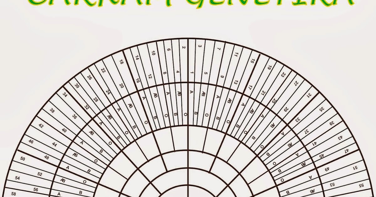 Berbagi Ilmu: Laporan Praktikum Cakram Genetika : Keanekaragaman Pada ...