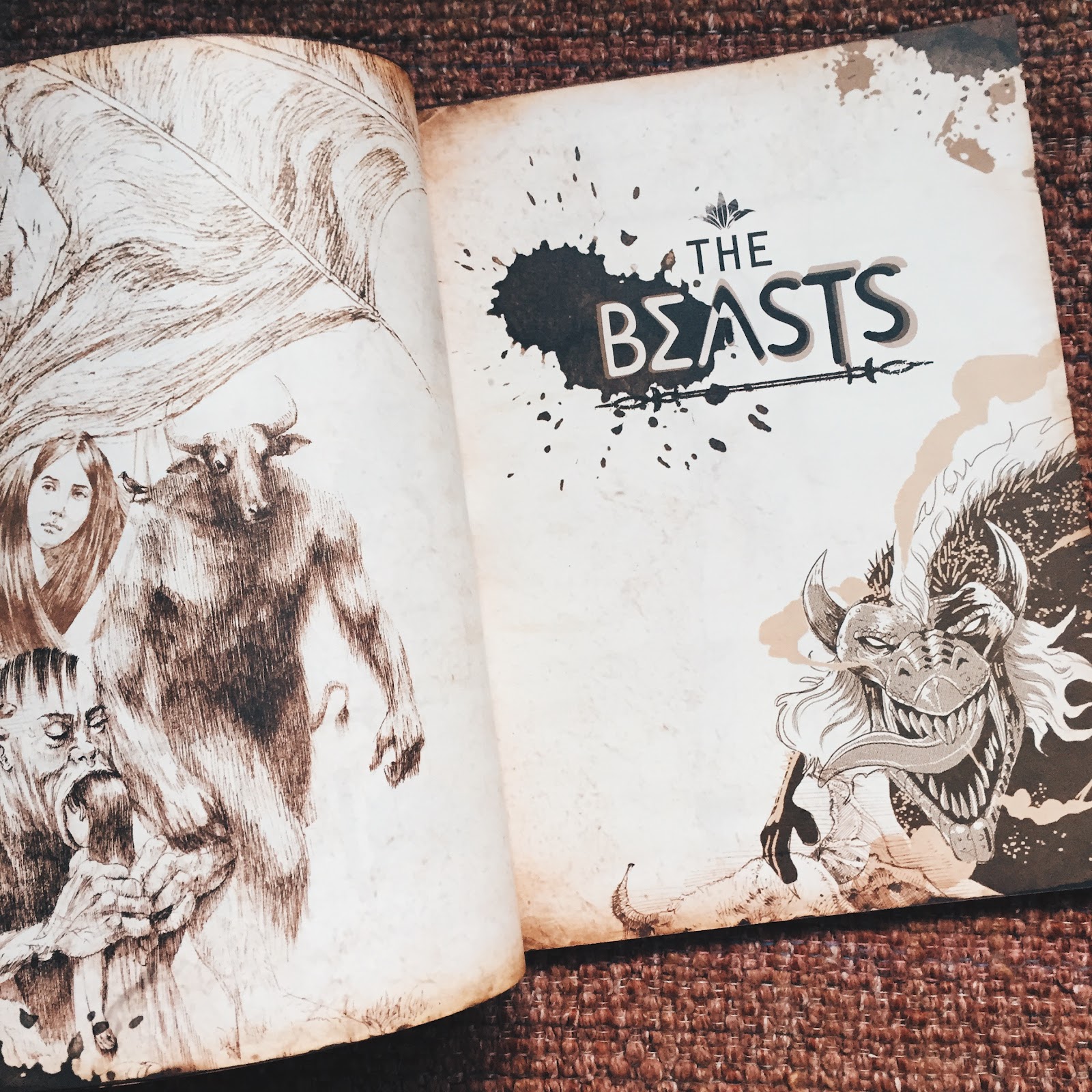 Peeking through The Lost Journal of Alejandro Pardo | i am krissy