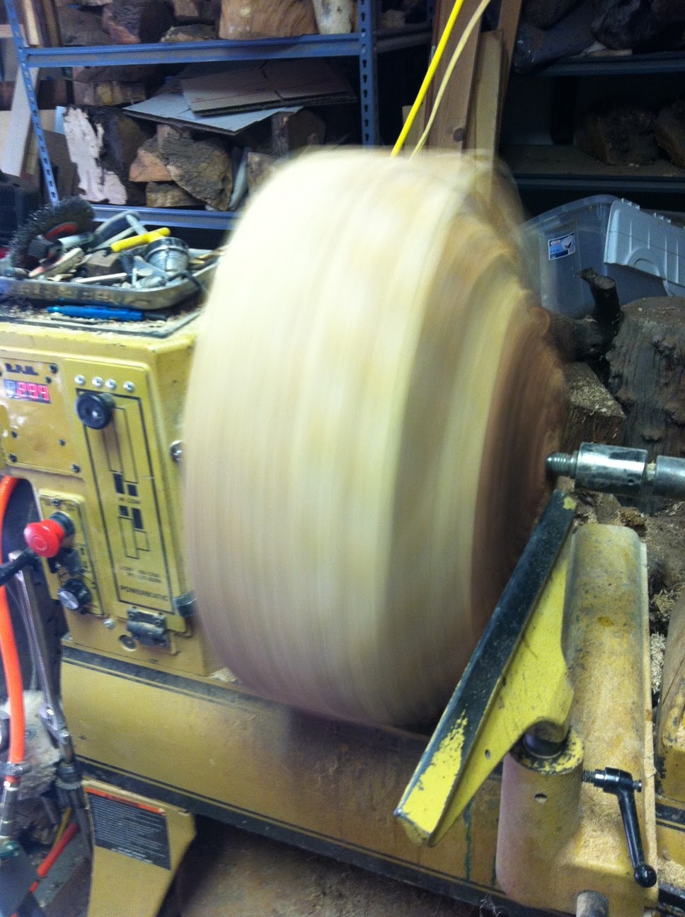 A good turn daily: Punky wood