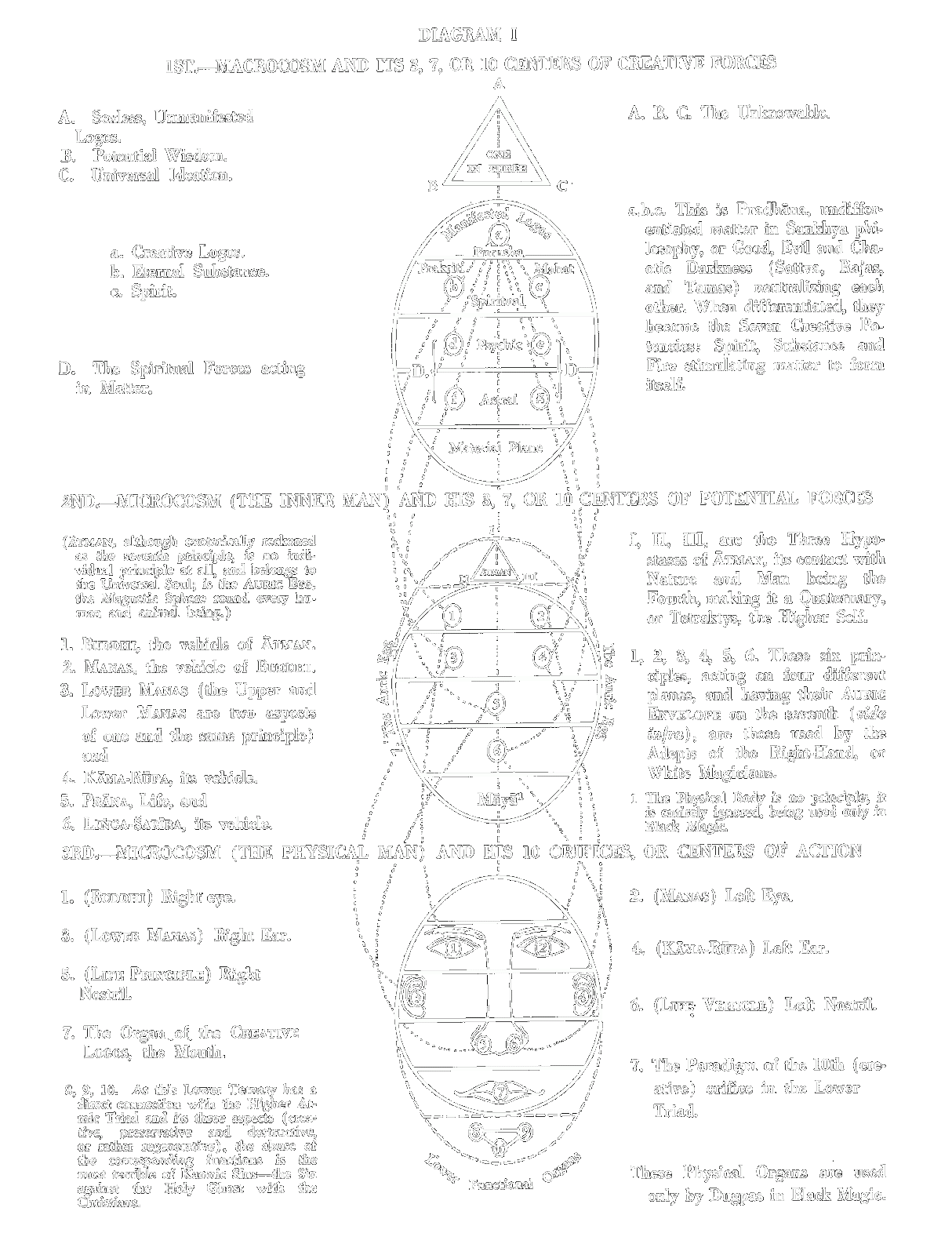It's All In The Egg: The Faculty of Abraxas