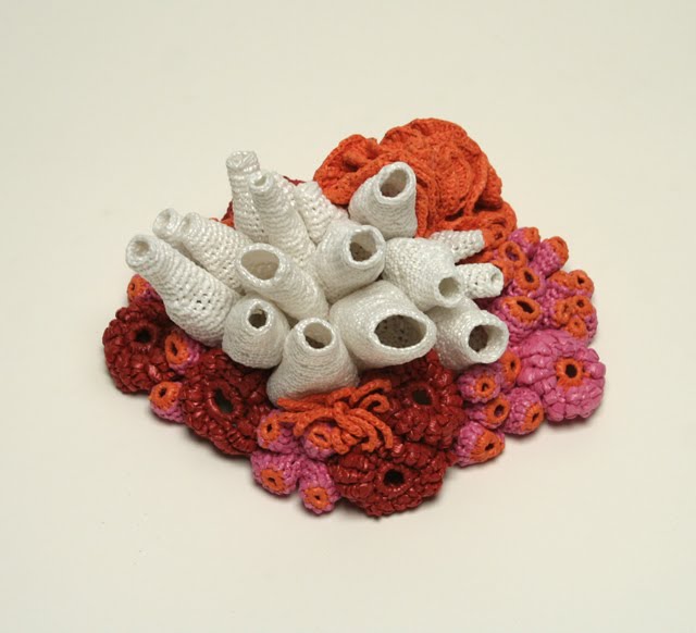 magpie & whiskeyjack: Barnacles