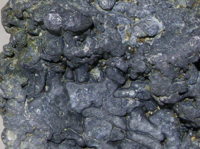 DAME PASANDO RUSIA: 2012